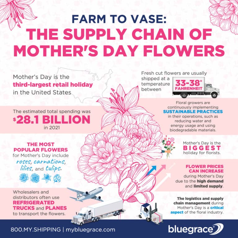 BlueShip® TMS - Bluegrace Logistics