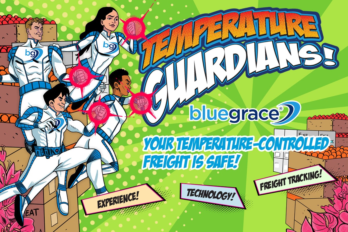 Home - Bluegrace Logistics